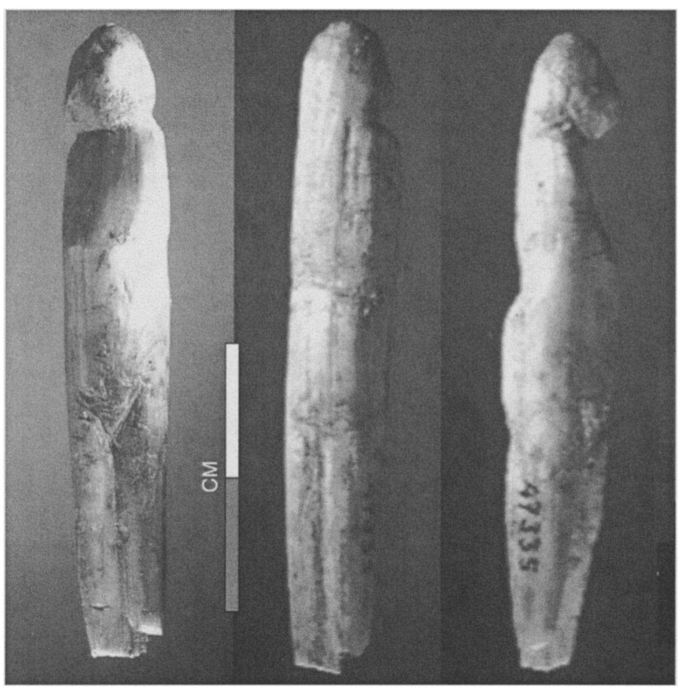 Figure 10 - The Women of Brassempouy: A Century of Research