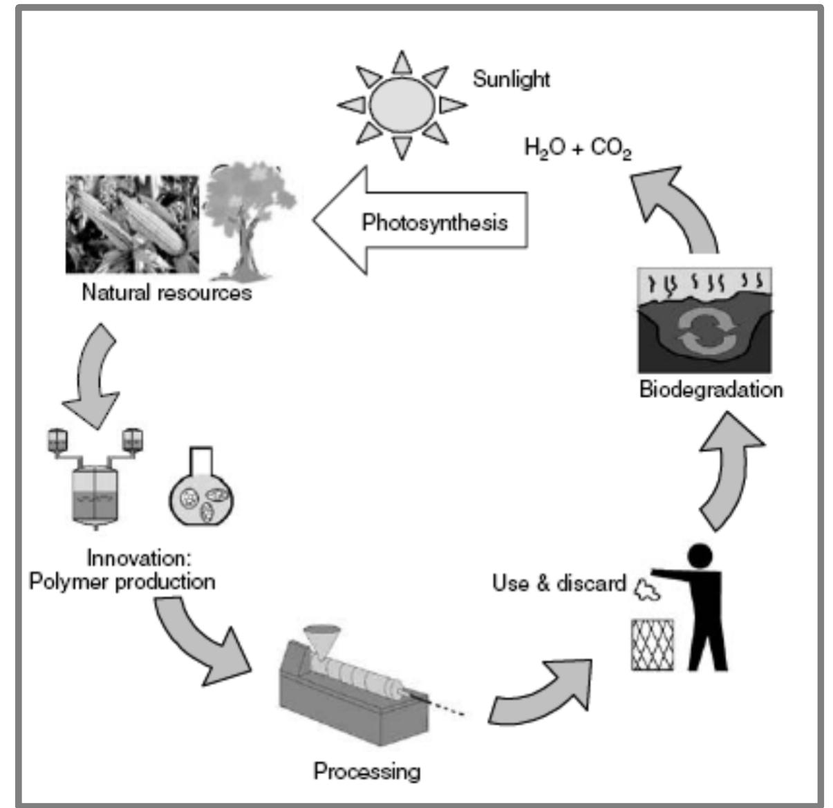 6 - ideal closed loop life-cycle of biodegradable products