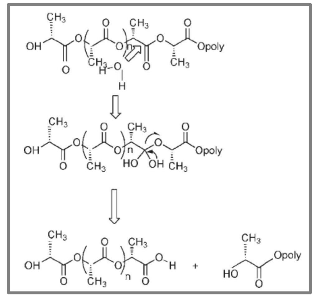 13 — pla hydrolysis and molecular weight loss [4] in the