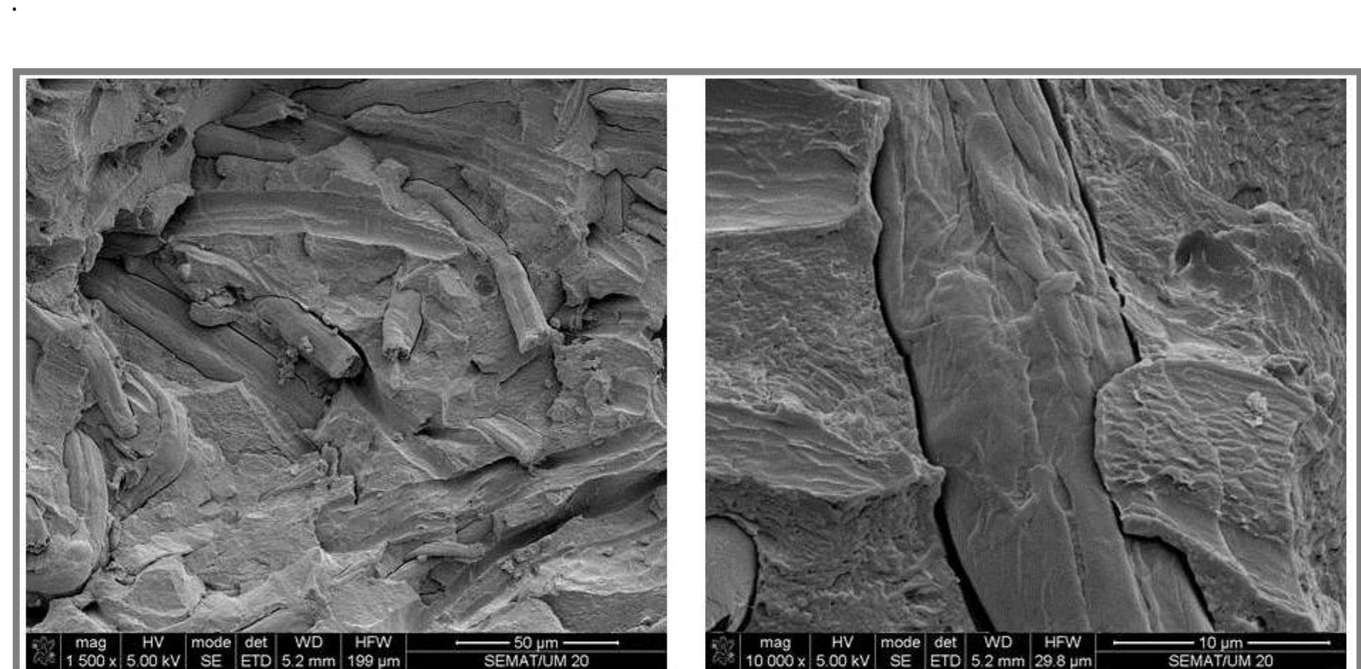 13 — detail of the interface matrix-fiber obtain in sem