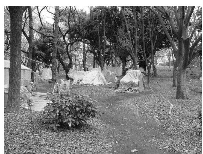 S often affixed to the ground through ingenious deployment