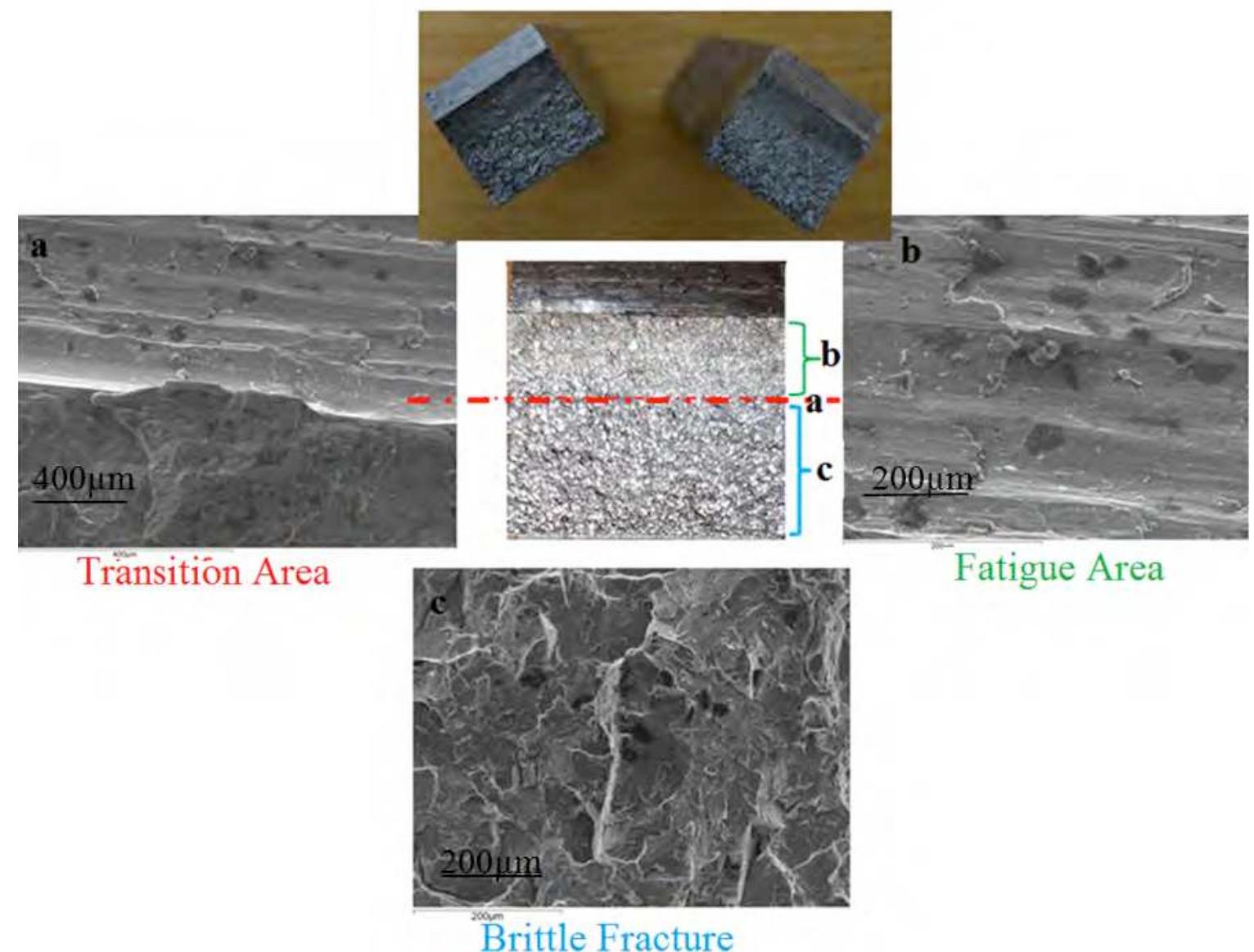 Surface topography of the pearlite steel (sem images)