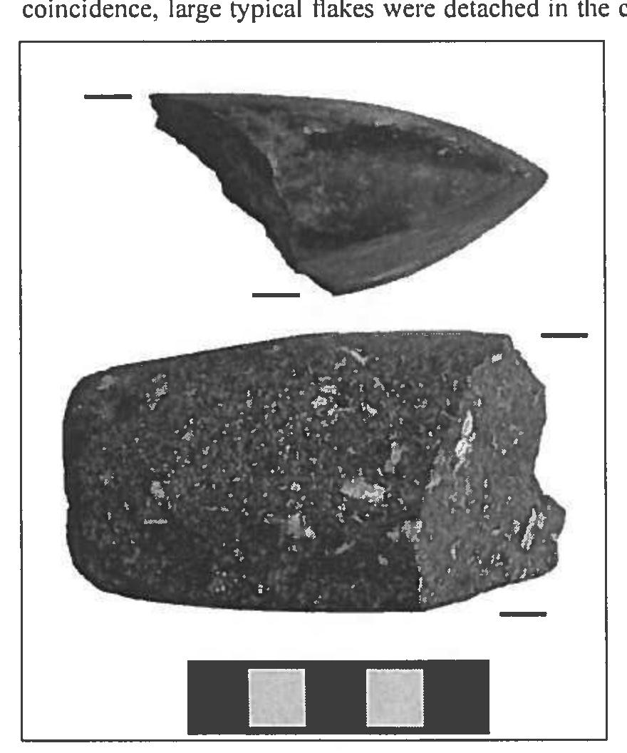 Ficure 3: celts exhibiting a conchoidal fracture. (photo: a.