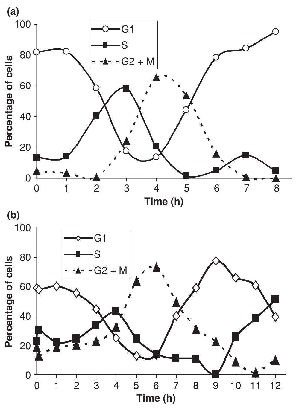 Fic. 2. cell-cycle stages of thalassiosira pseudonana during