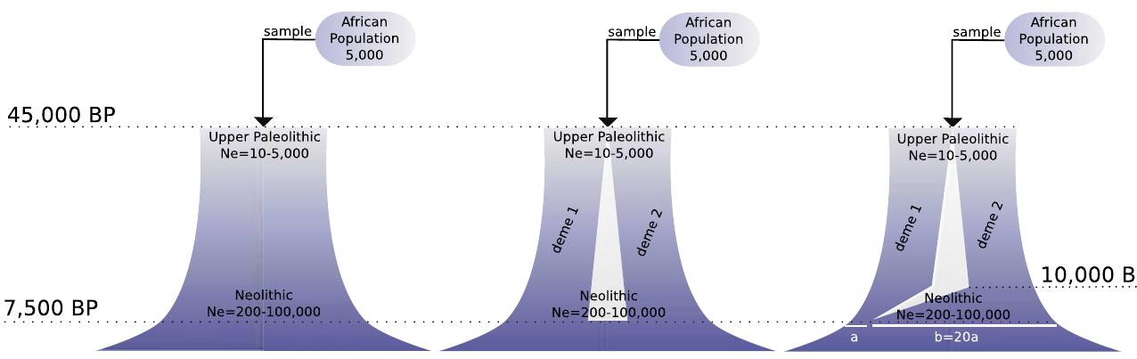 Demographic models explored. from left to right: tpm, total