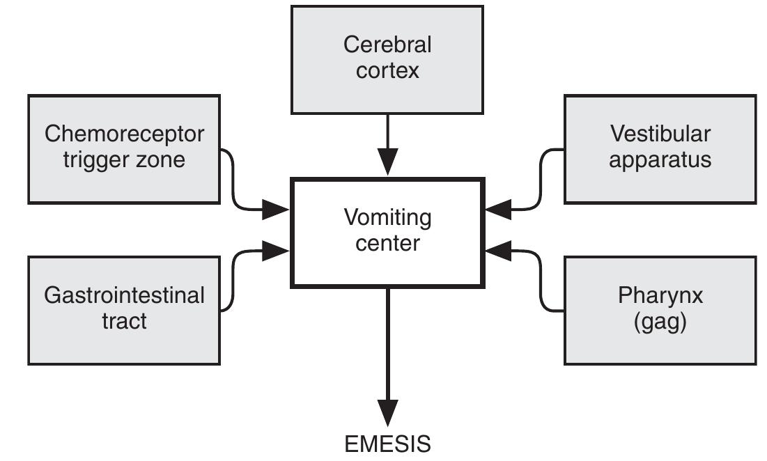 -1. primary afferent components to the vomiting center.