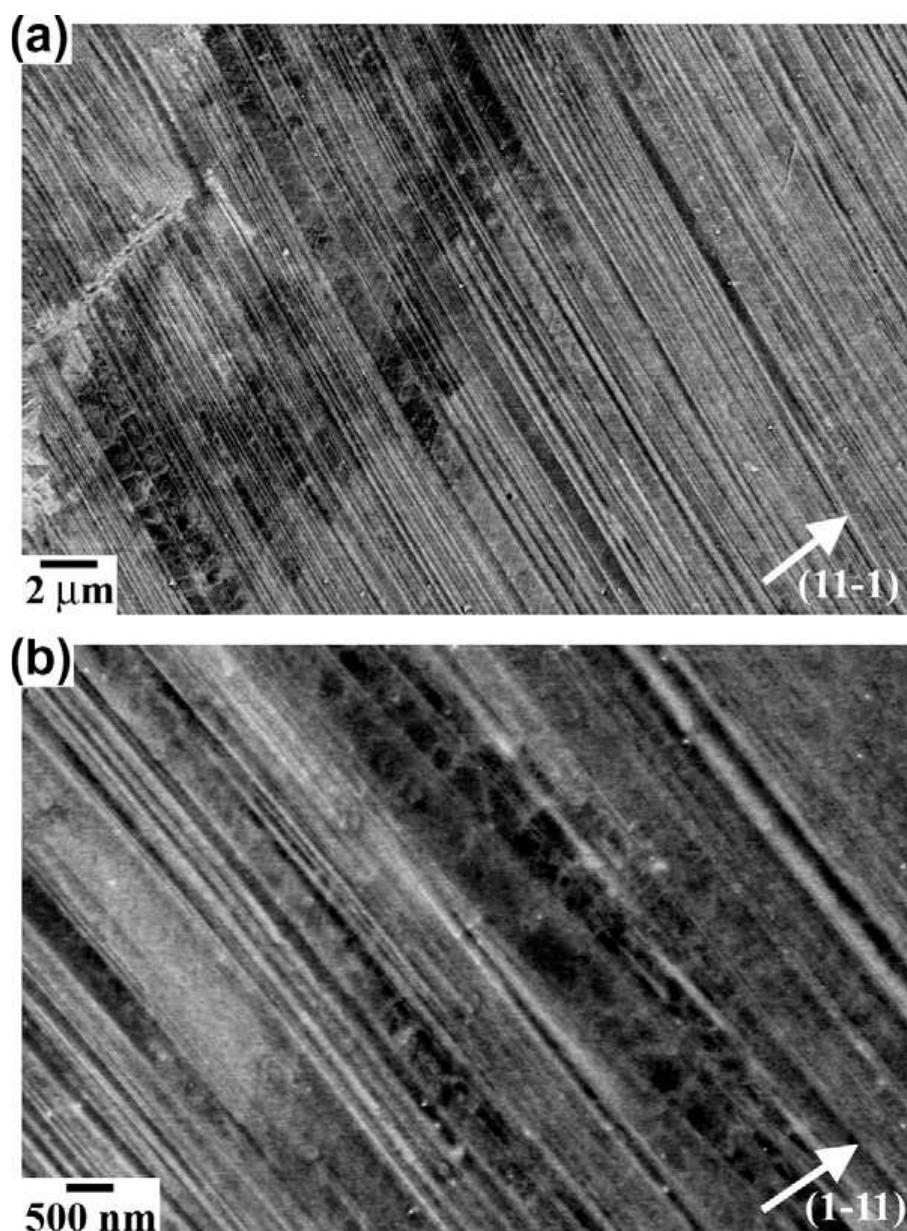 Ecci images of deformation microstructure of a type ii grain