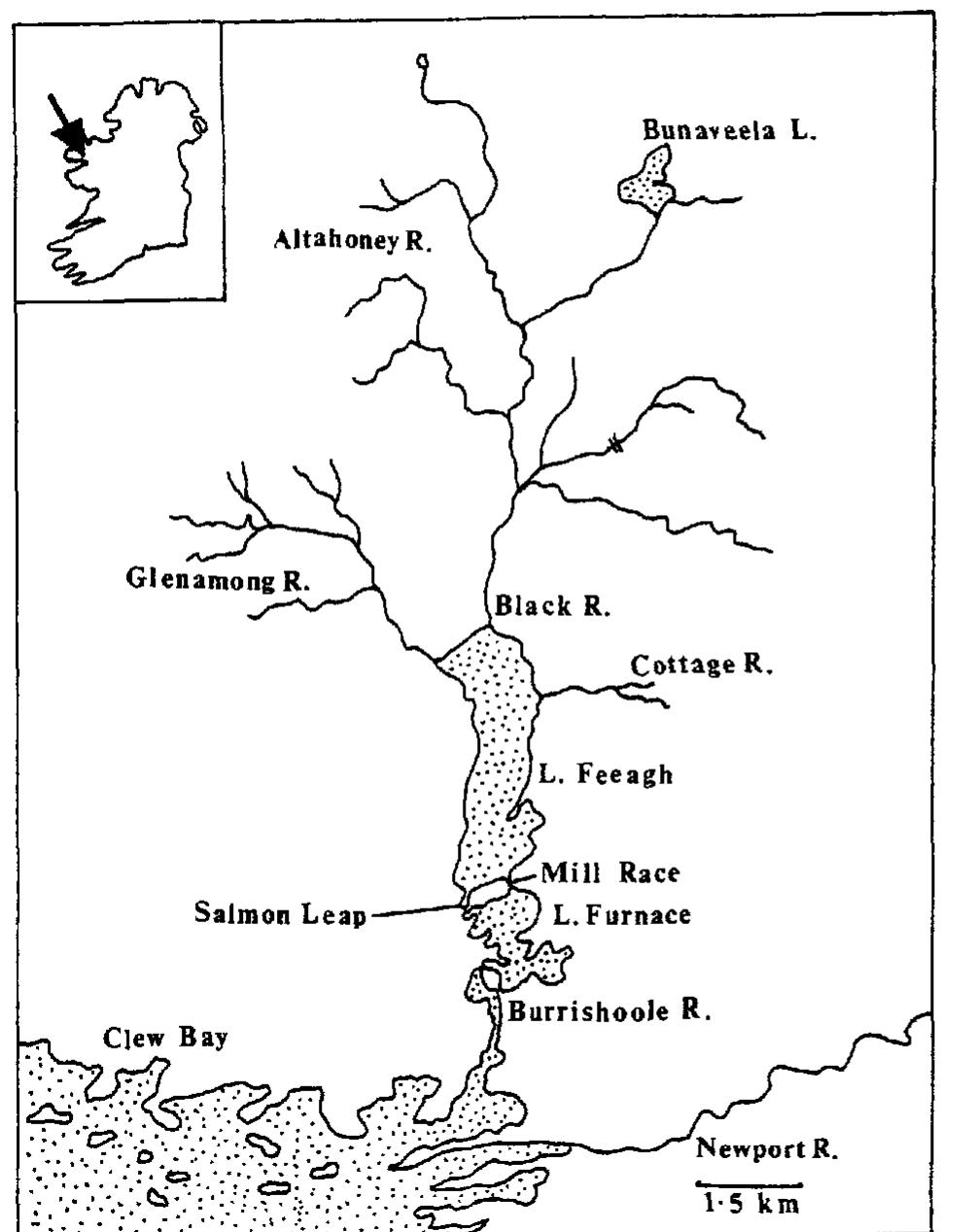 Map of the burrishoole system.