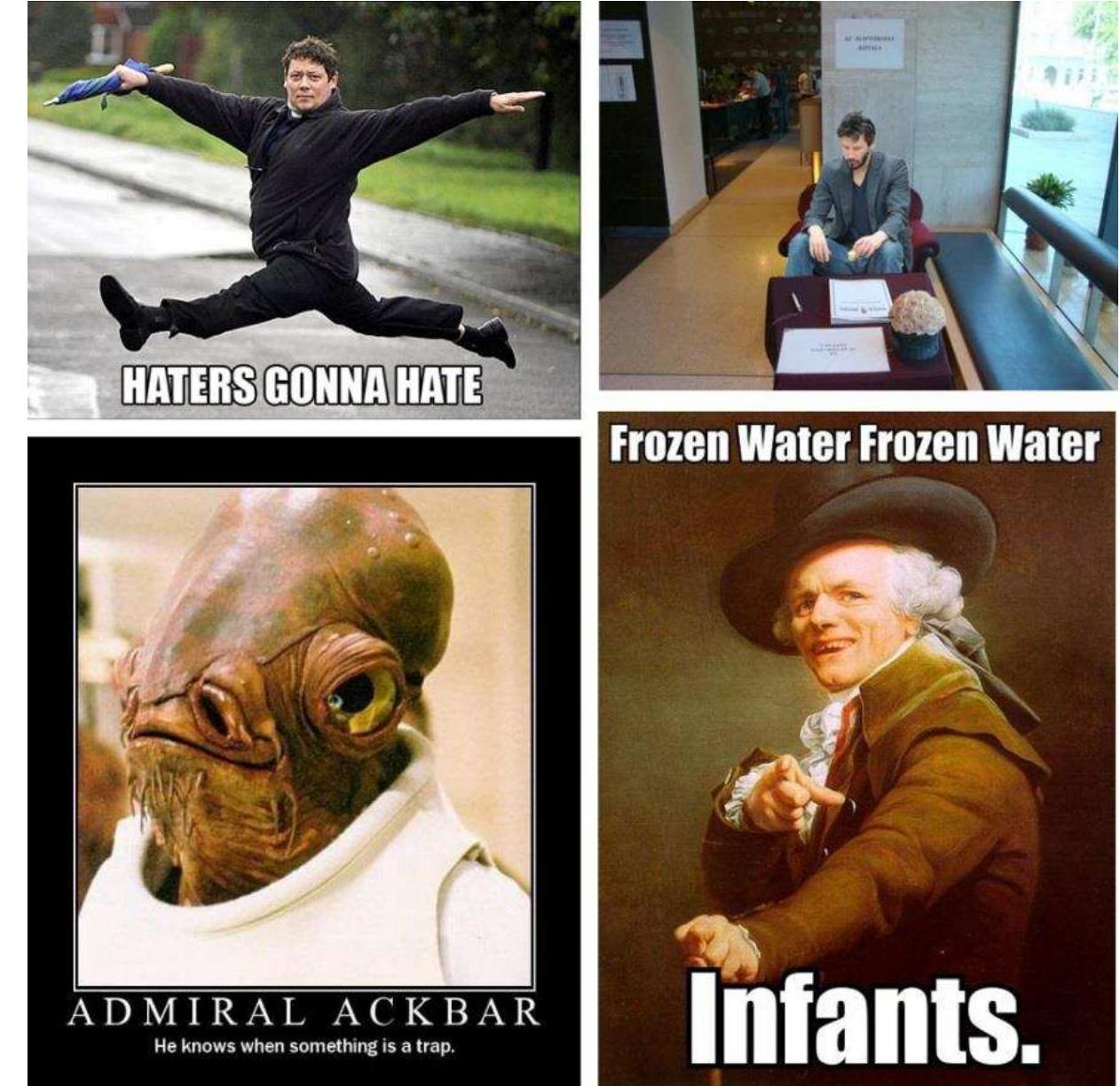 (PDF) Makes a Meme Instead: A Concise History of Internet Memes