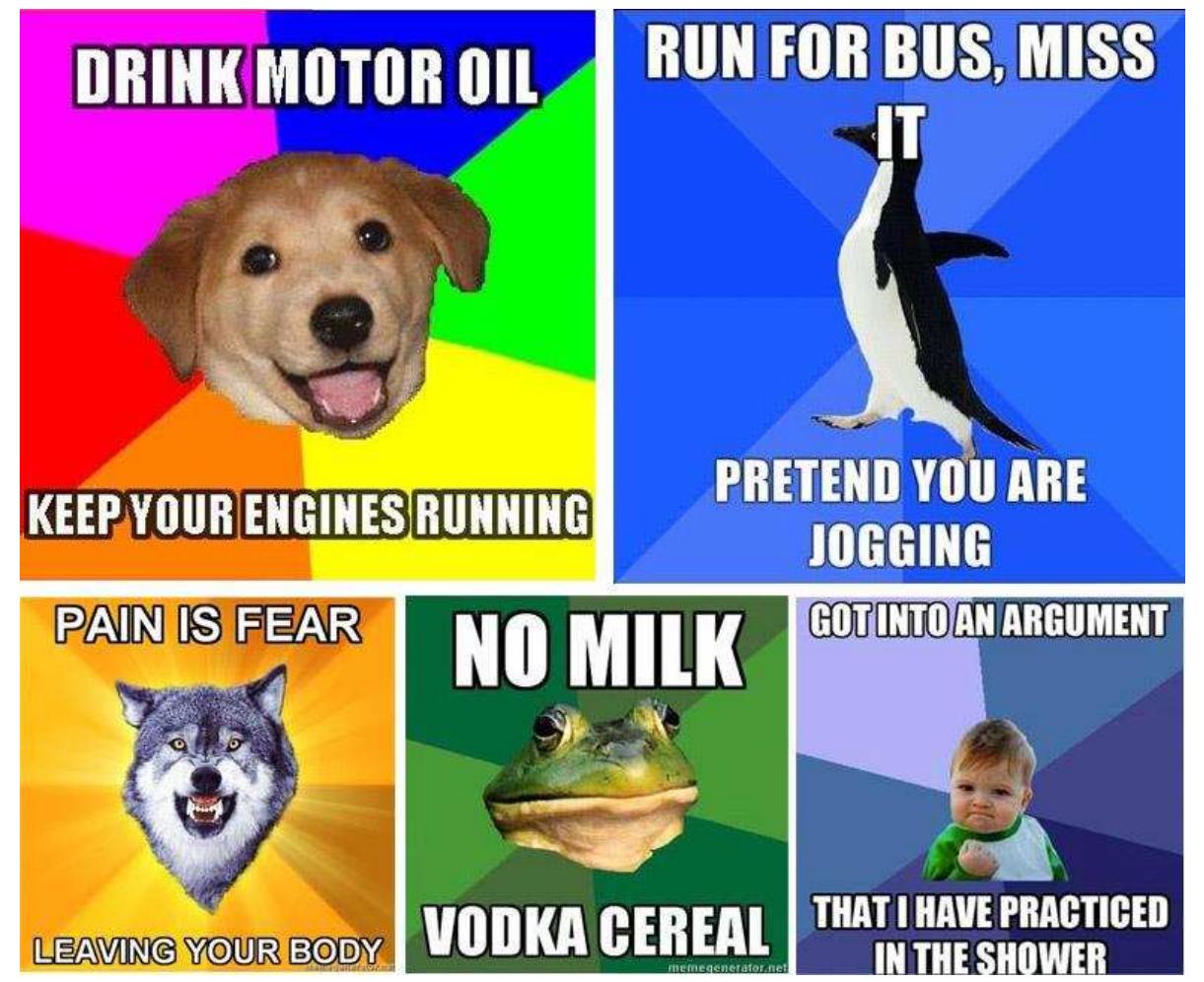 Memes from the advice animal series, from left to right: