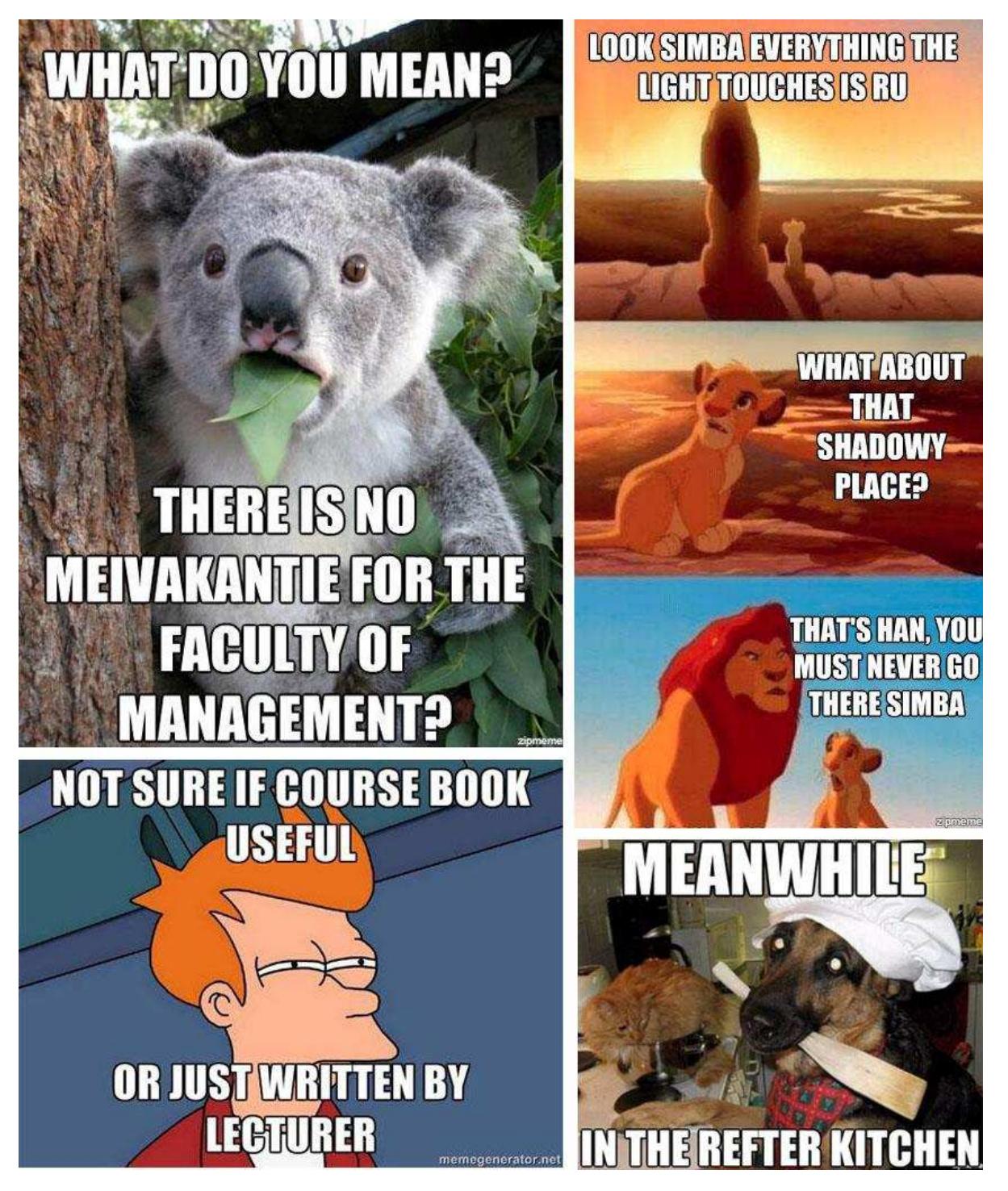 Figure 15 - Makes a Meme Instead: A Concise History of