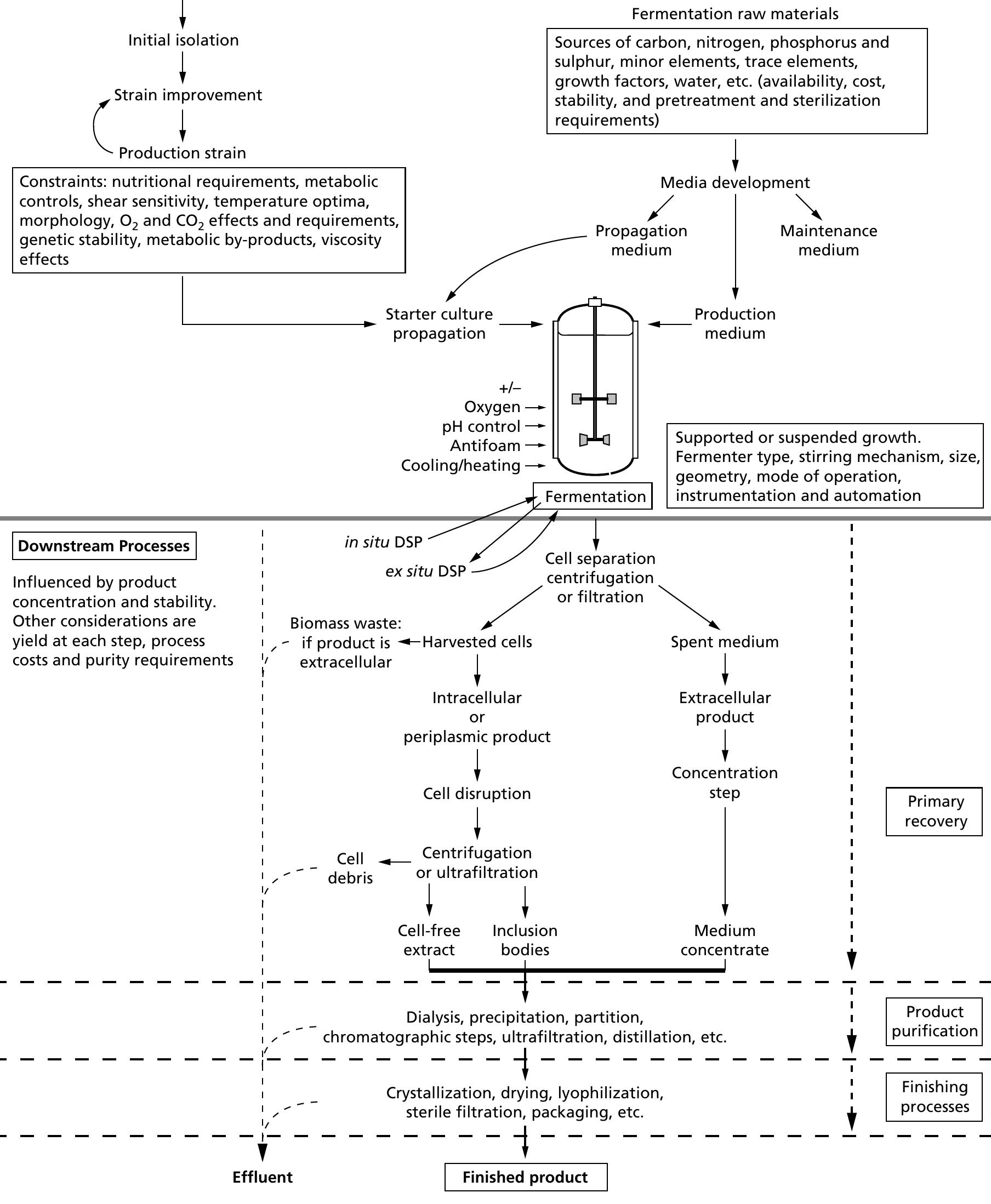1 an outline of upstream and downstream processing