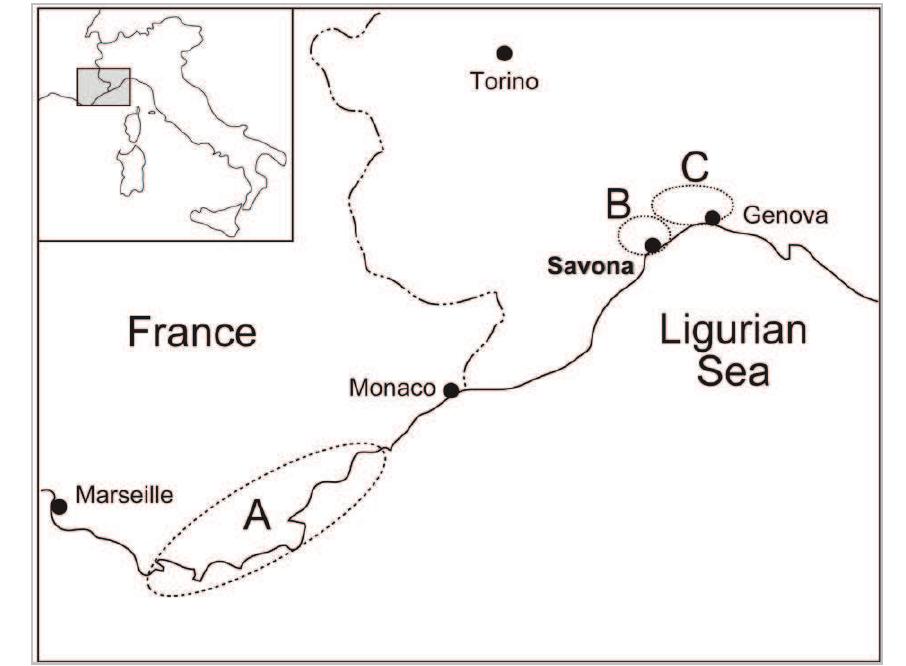 Geographic sketch map showing location of savona and