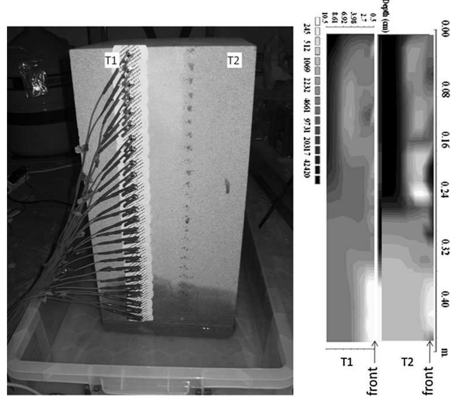Stone sample after 4 days of capillary rise, showing an