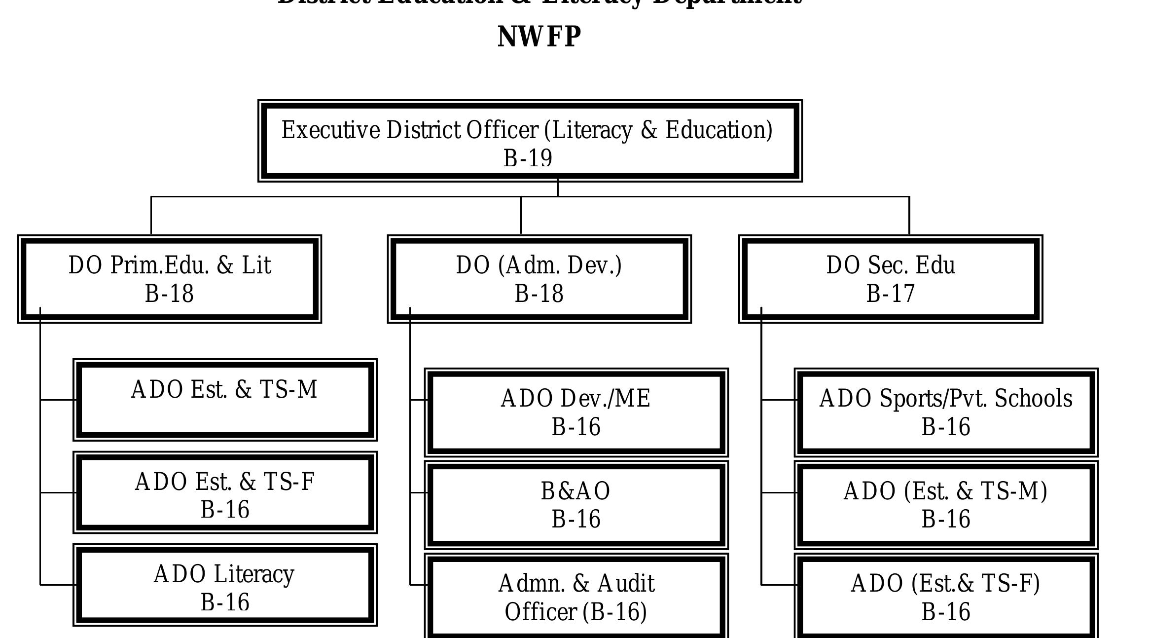 Note: the above organogram is standard for the districts