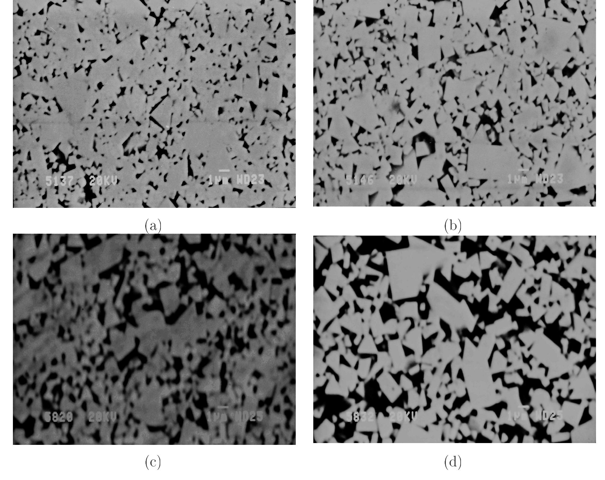 1: sem micrographs showing the microstructure of (a) wc 6