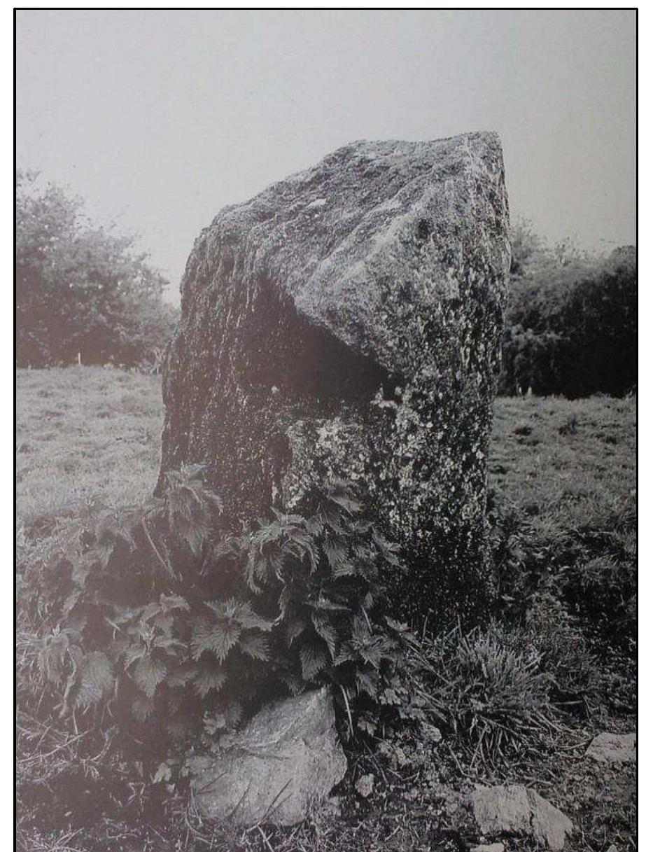 Cv013-007 on 25 inch os map (osi mapviewer)