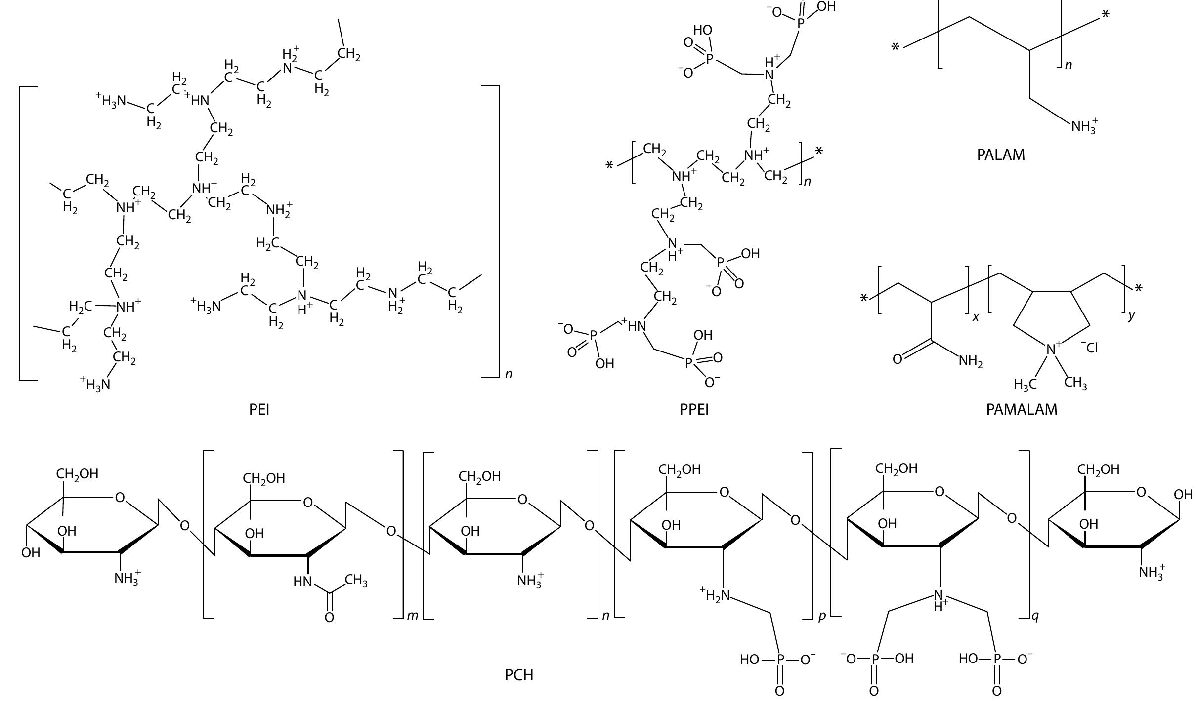 5 schematic structures of the polymeric inhibitors.