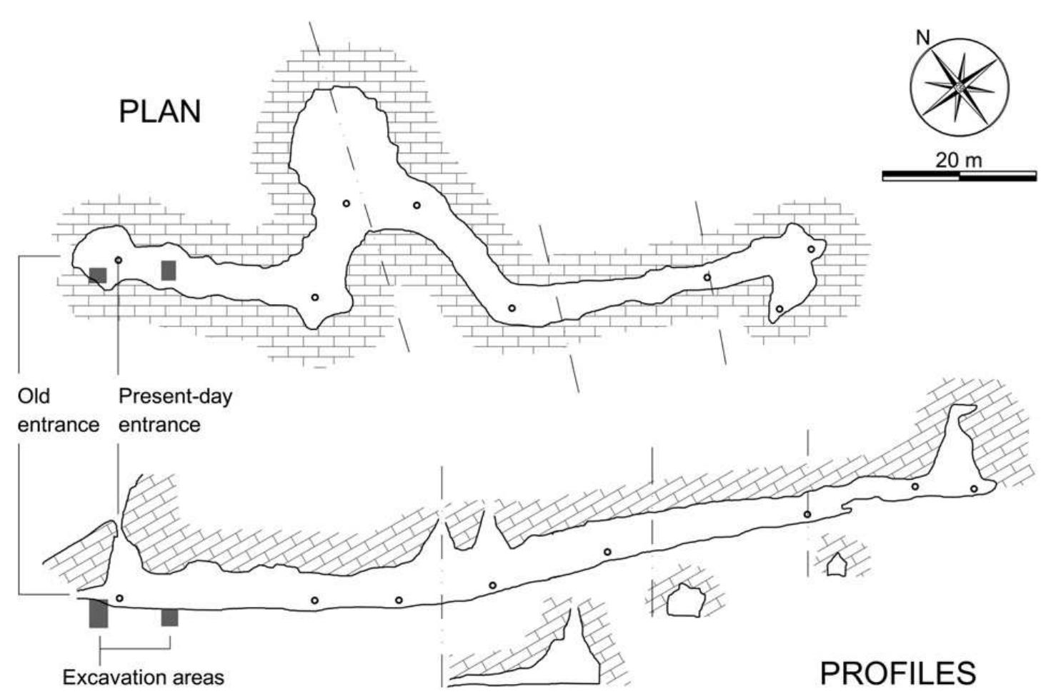 Plan and profile of caverna degli orsi with the two