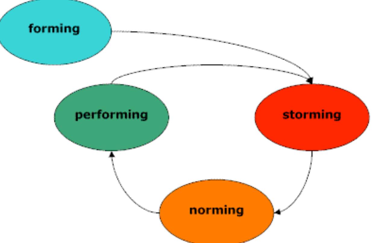 (PDF) Tuckman's Forming, Norming, Storming