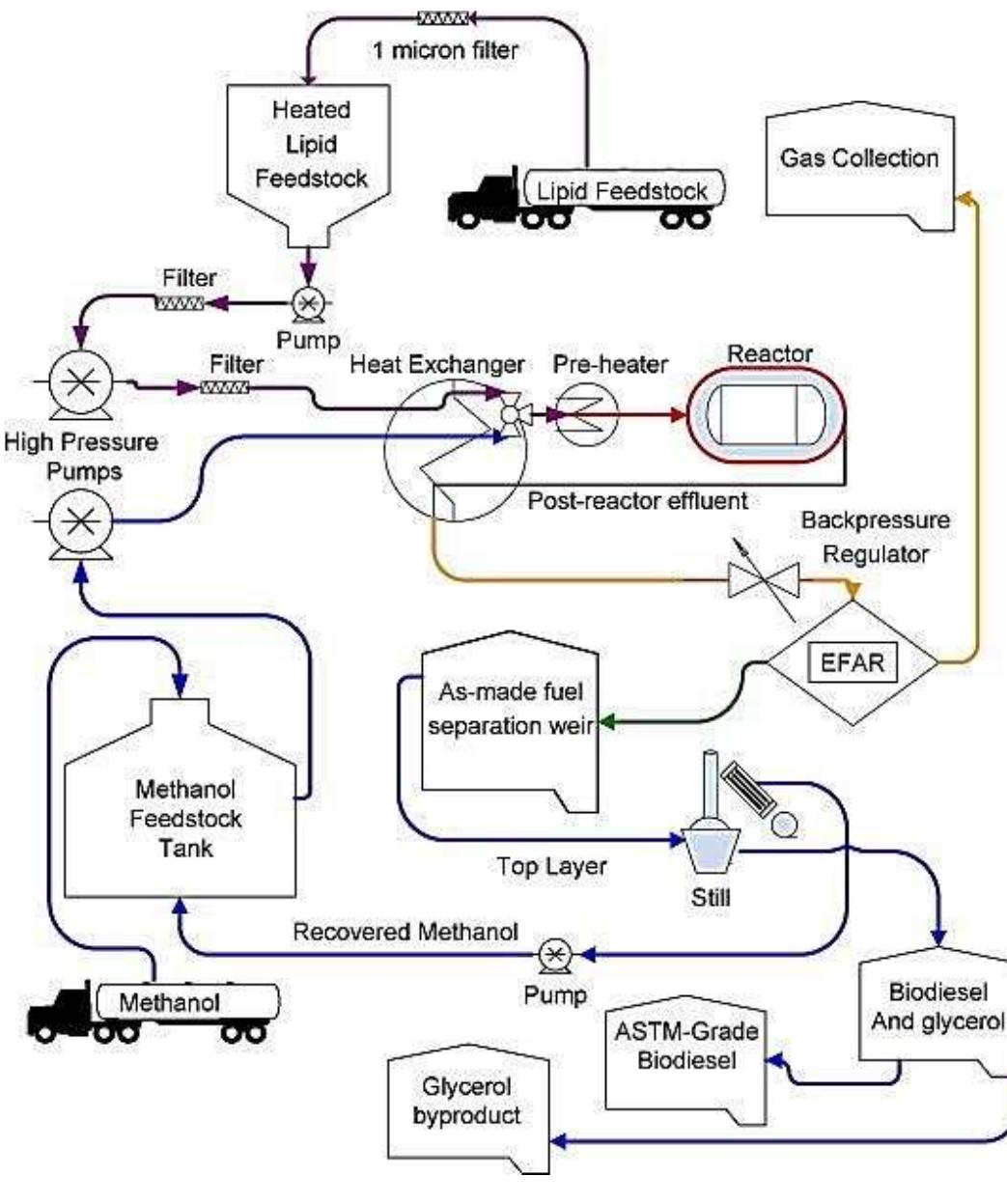 Process flow diafram of a biodiesel plant based on the