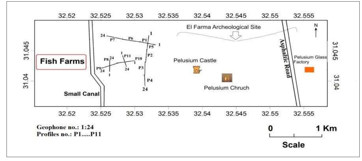 (10): location map of seismic refraction profiles.