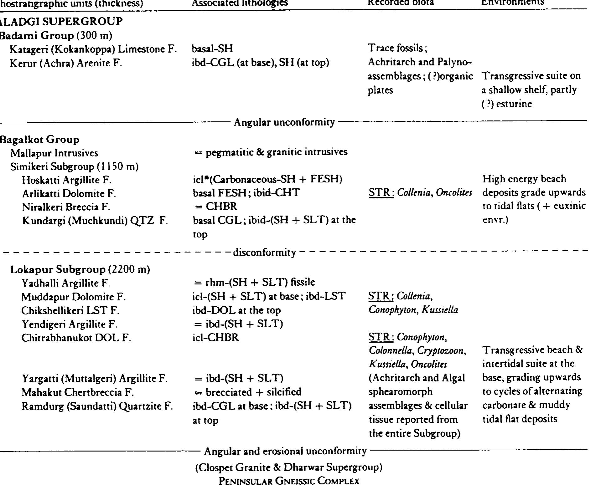 Lithostratigraphy, biota and depositional environments of