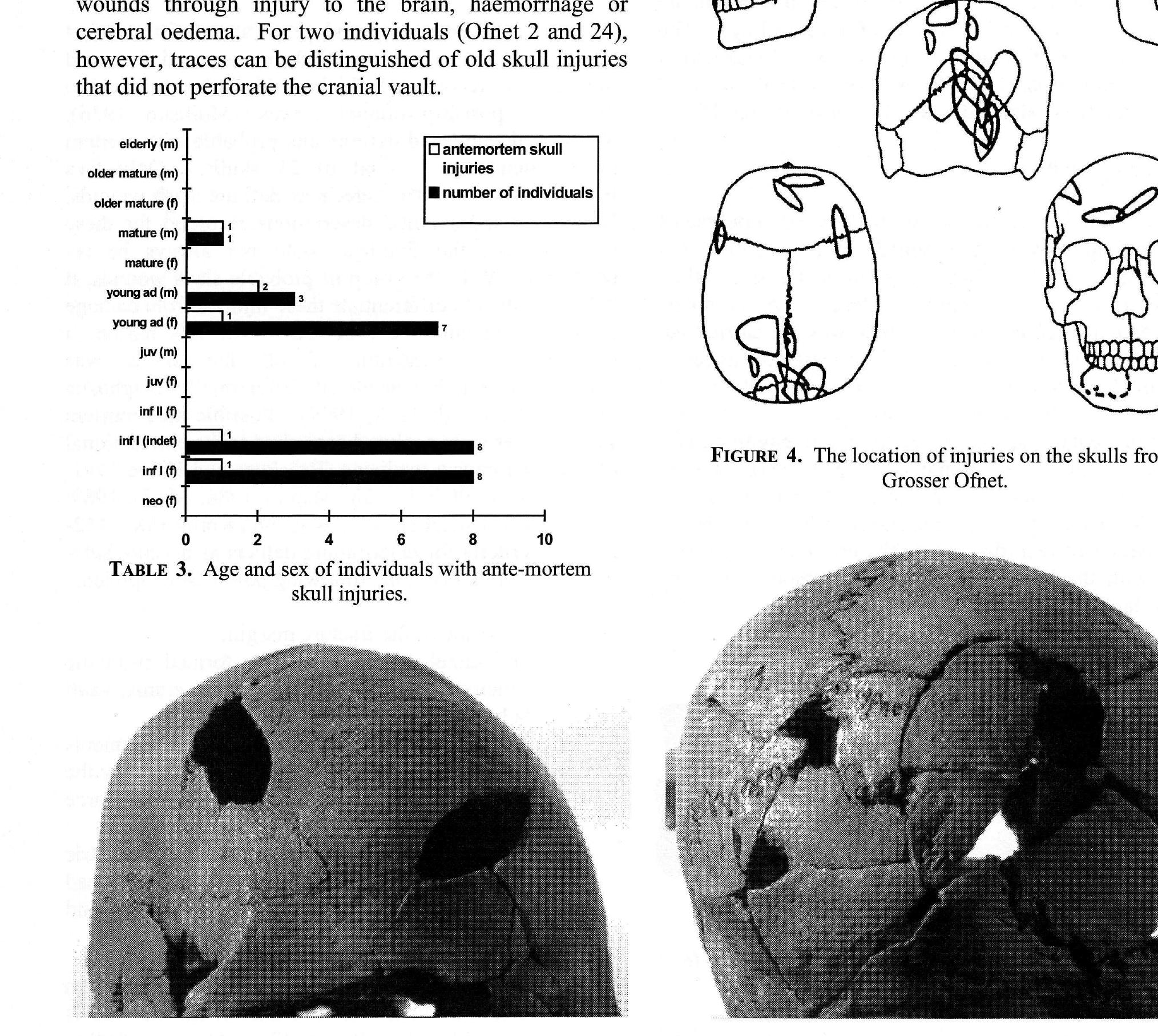 (PDF) The head burials from Ofnet cave: an example of warlike conflict ...