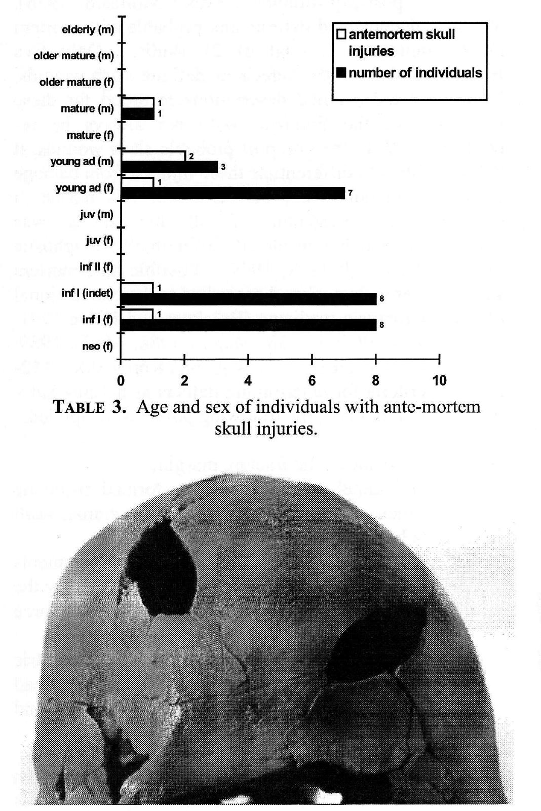 (PDF) The head burials from Ofnet cave: an example of warlike conflict ...