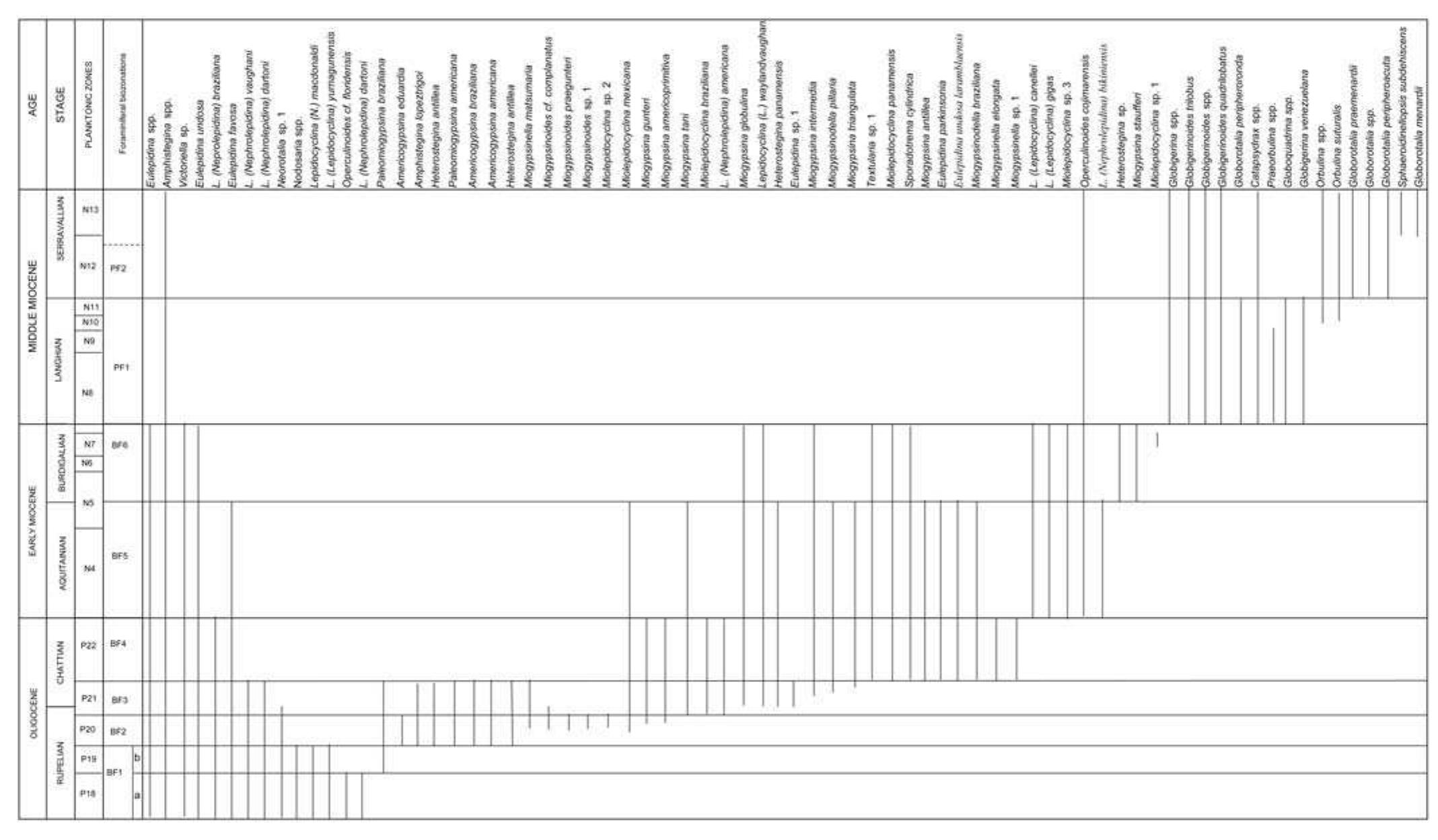 Range chart of important lbf species during the oligocene