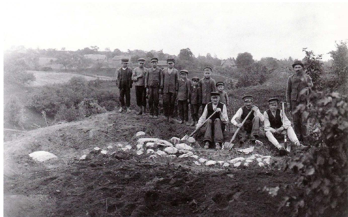 Archaeological excavations of the hill-fort of veliuona in