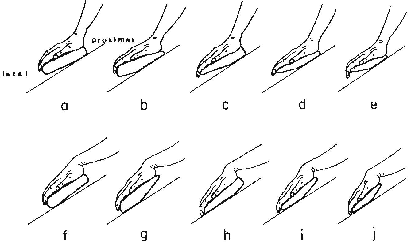 Schematic drawing of mano configuration created by pressure