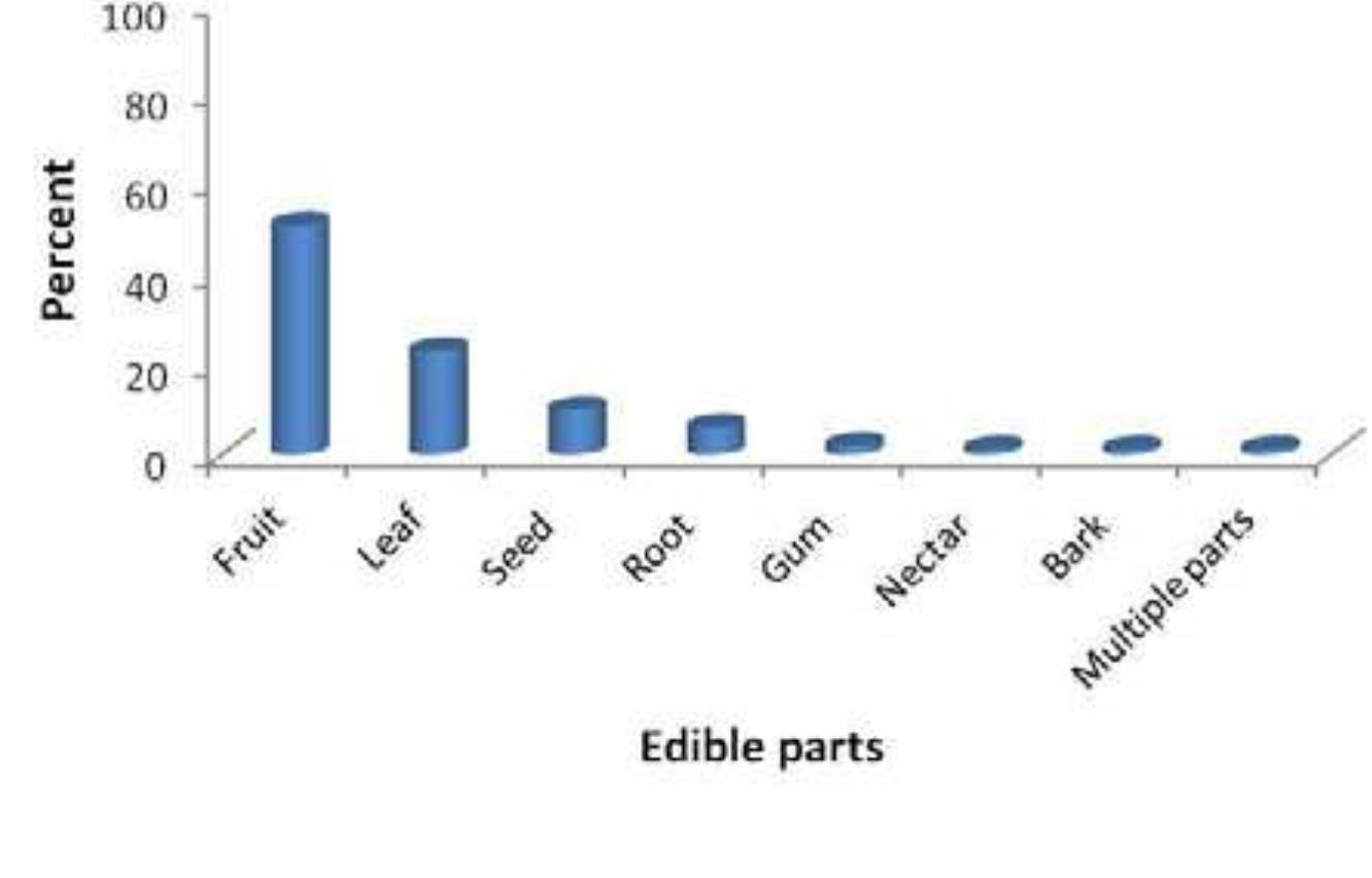The most commonly reported edible parts of ethiopian weps