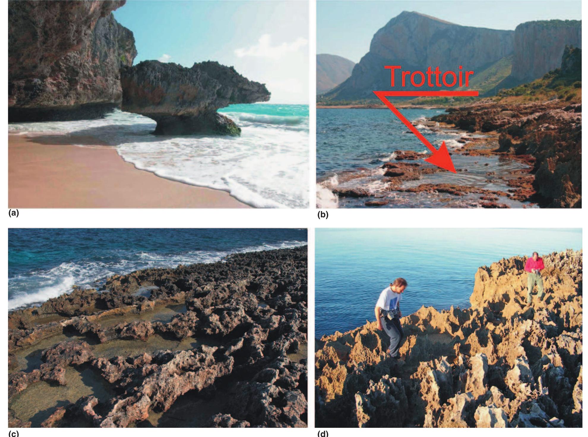 Coastal morphologies on littoral limestones: (a) tidal notch