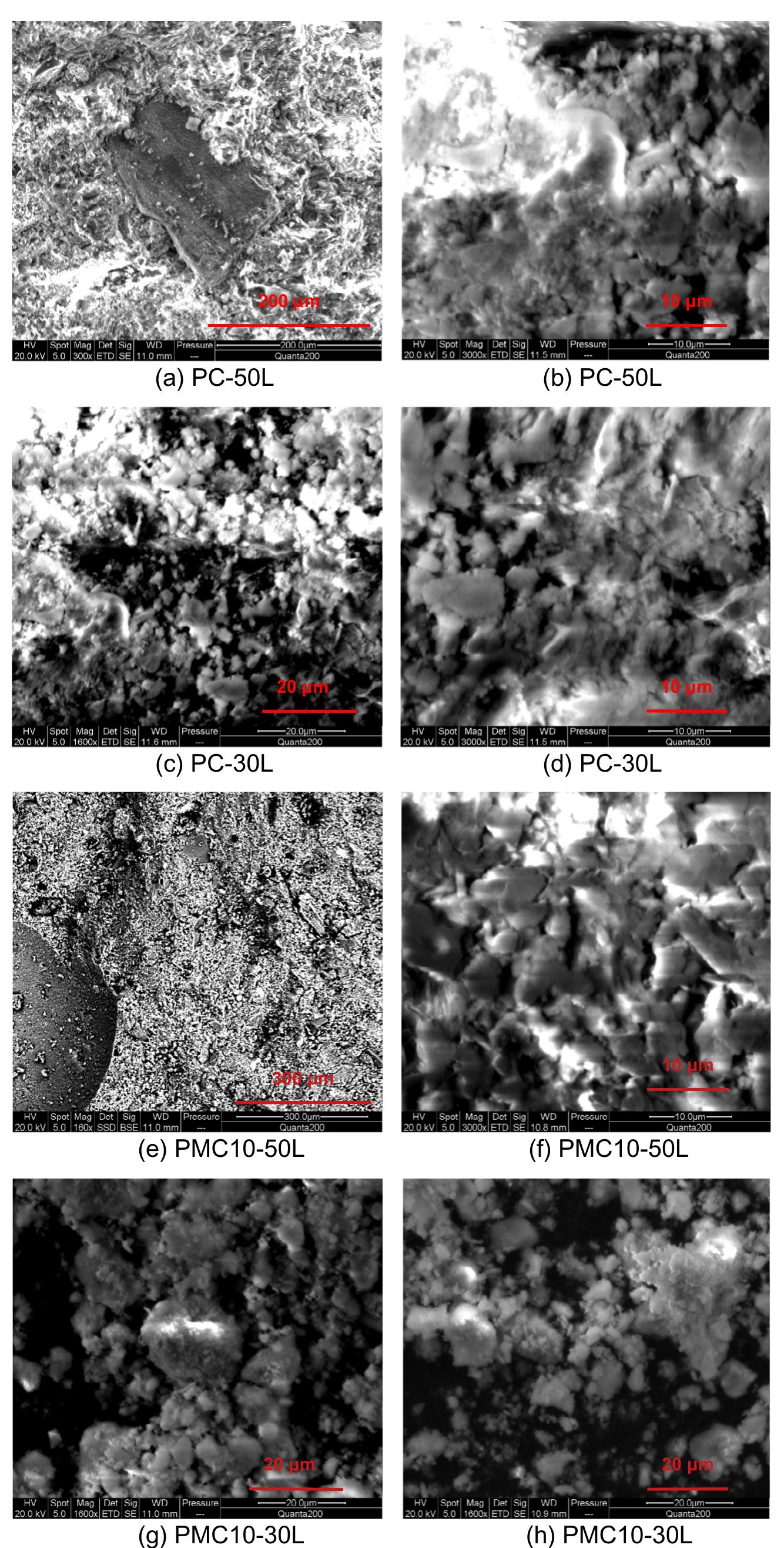 Sem photos of modified samples: pc-50l (a) and (b), pc-30l