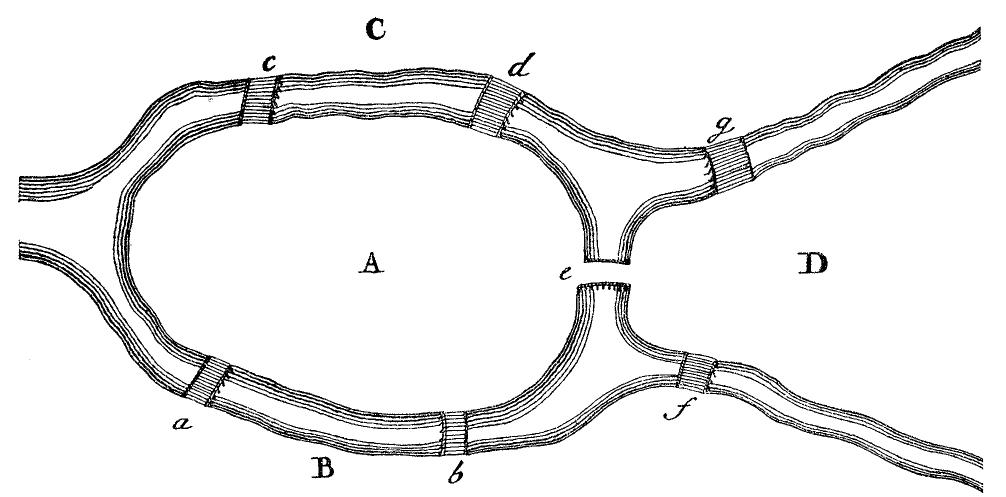 Euler’s diagram of the city of konigsberg, the kneiphof