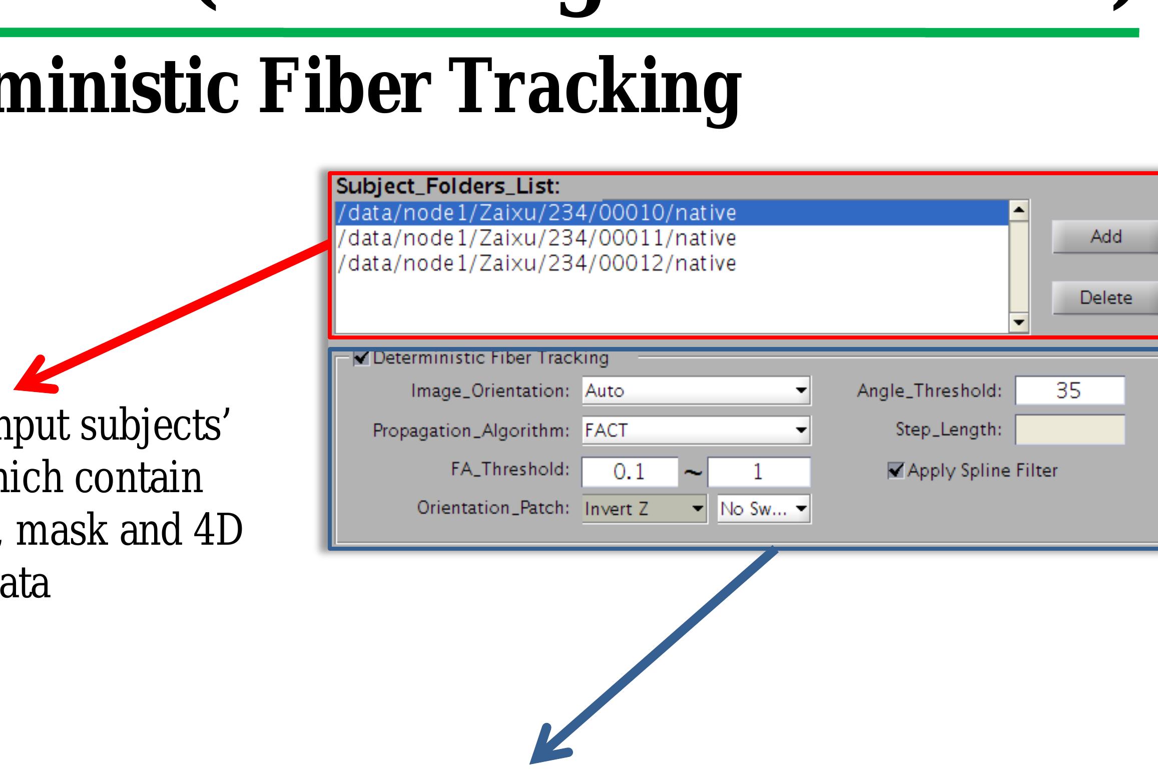 Second step: select deterministic fiber tracking referring