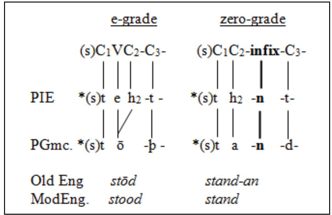 The mechanism of pie infixation exemplified by the english