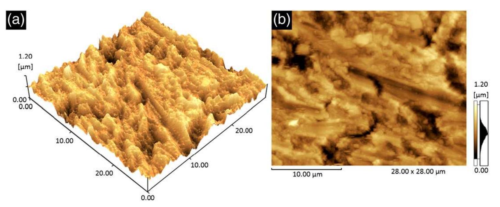 - atomic force microscopy topographical analysis of the area