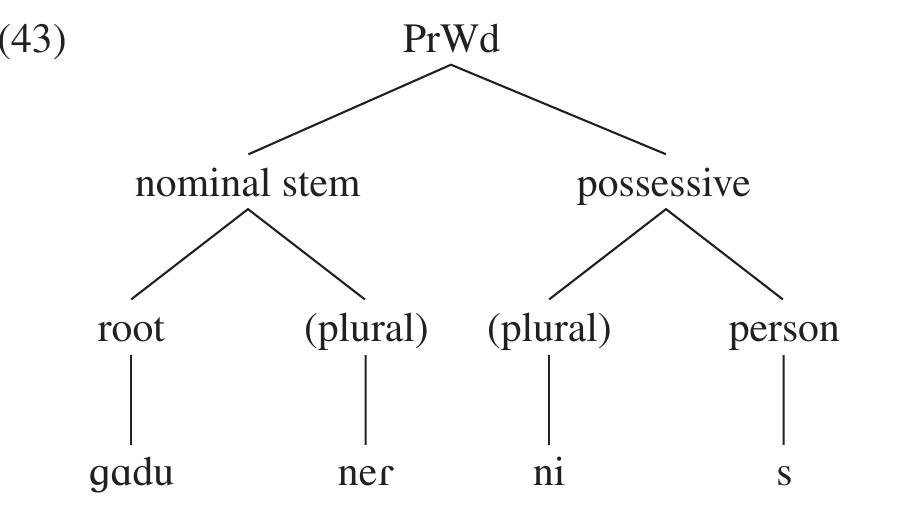 However, the possessive plurals in columns | and 4 of (42)