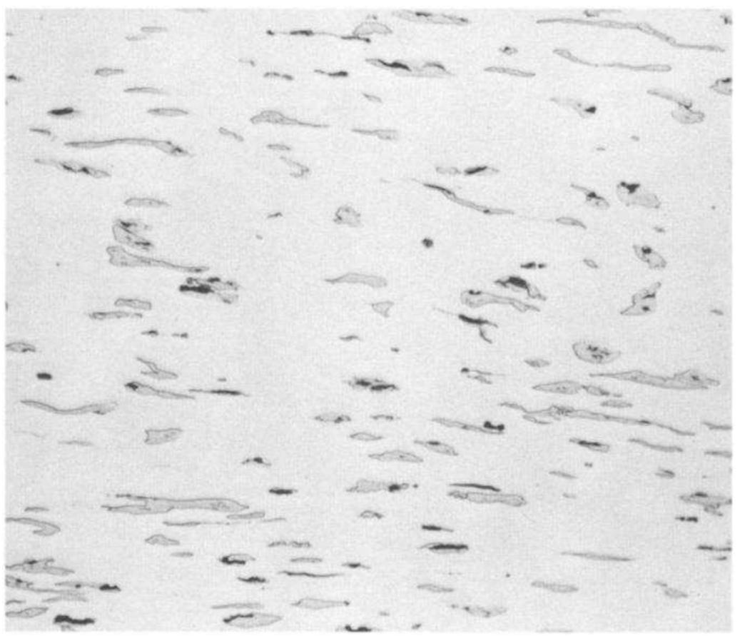 A more highly magnified detail of the section shown in