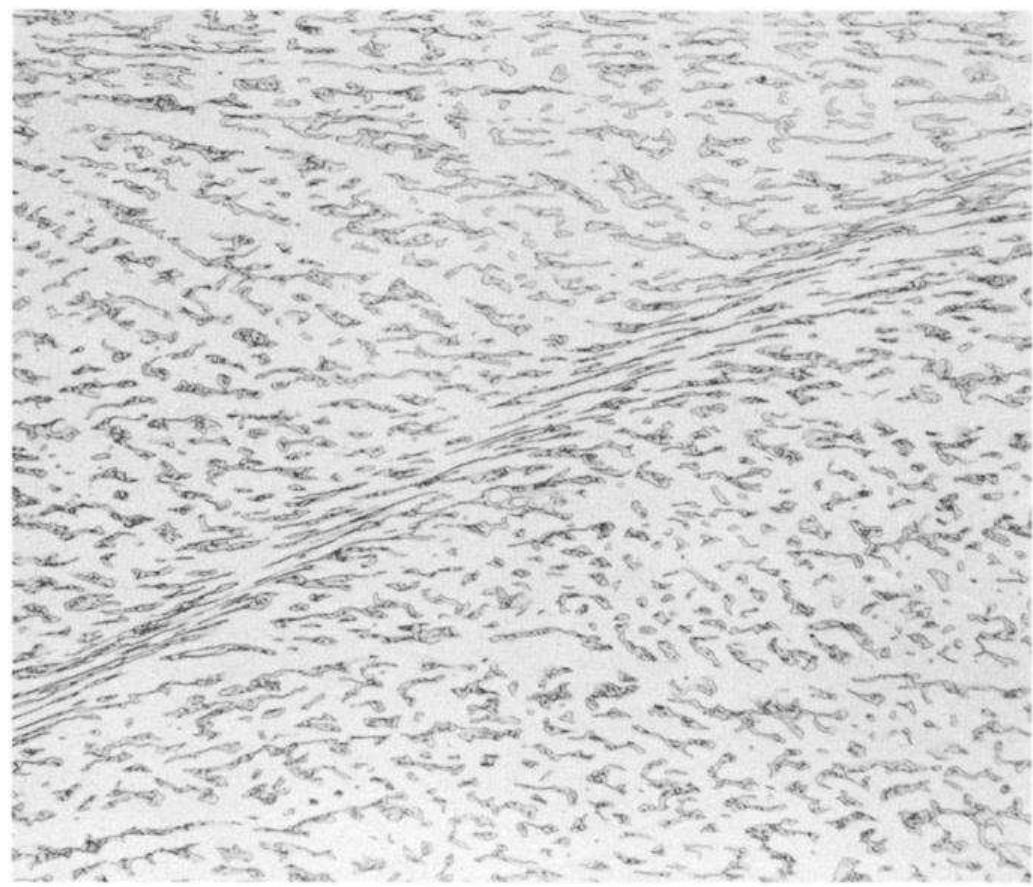 Photomicrograph of a section through a cu,10% as alloy, cold
