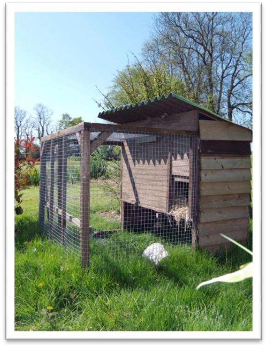 Jenny's empty chicken coop.
