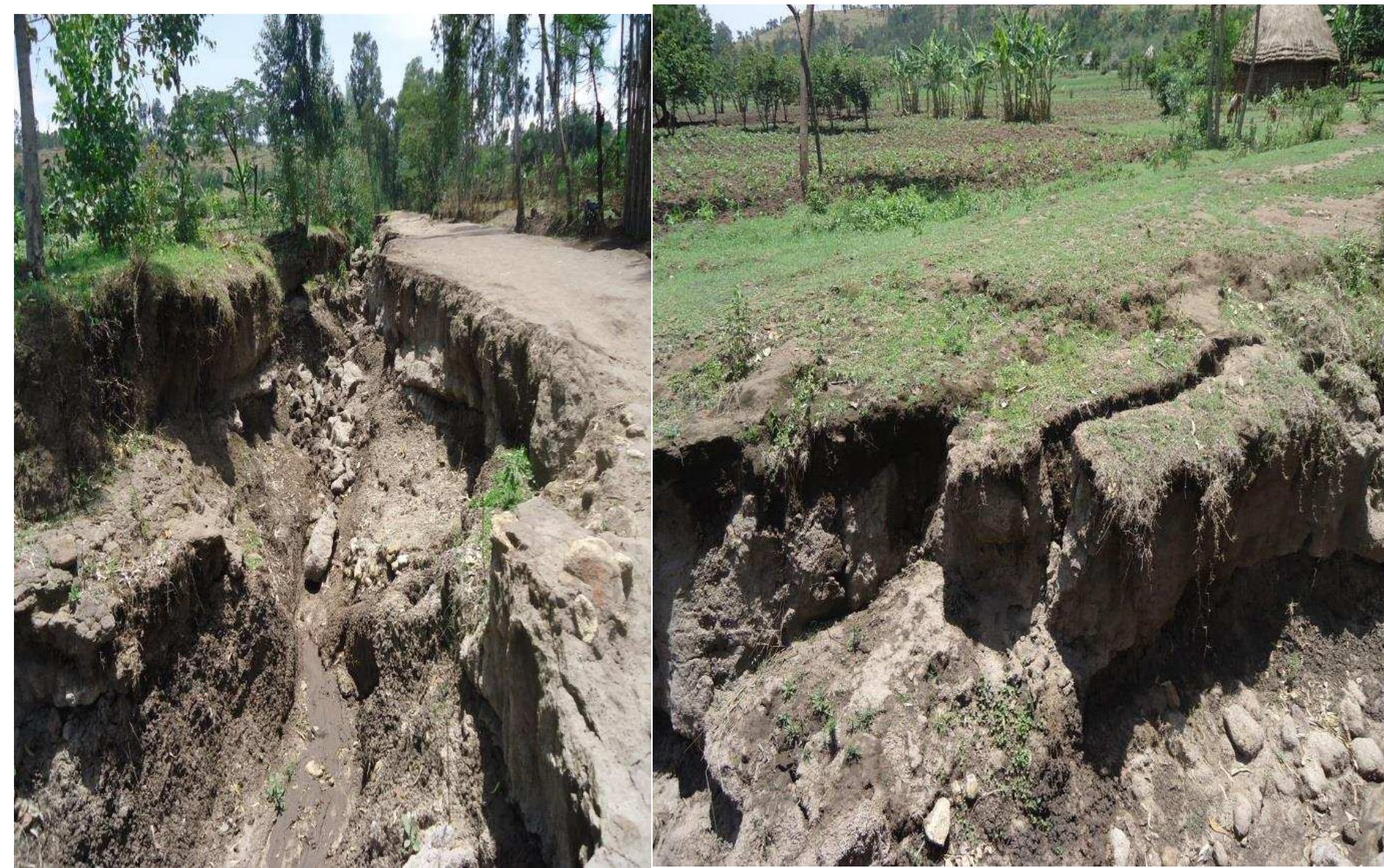 Figure 3 - from ASSESSMENT OF INTEGRATED WATERSHED