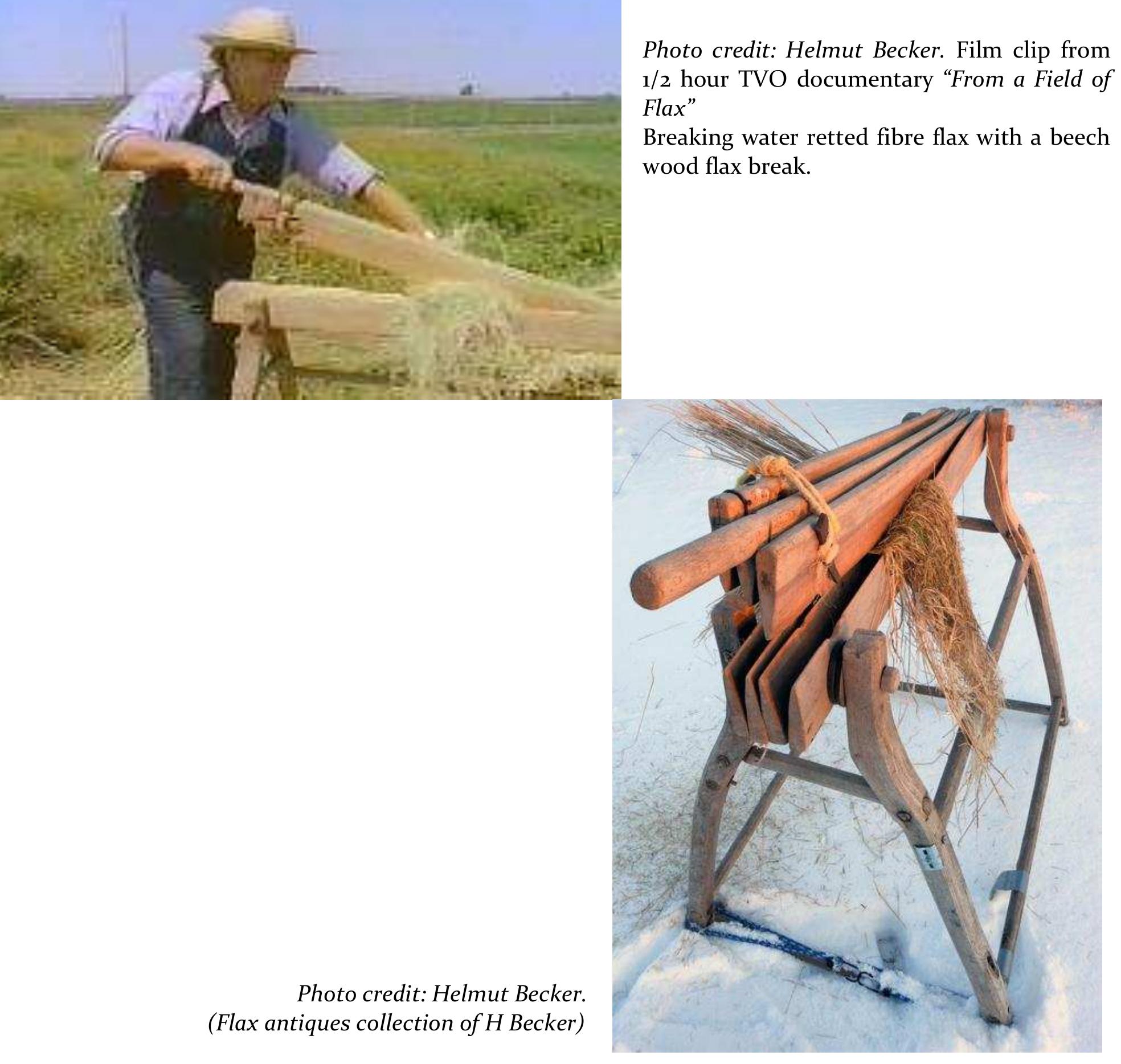 Flax Glossary of Terms with Illustrations