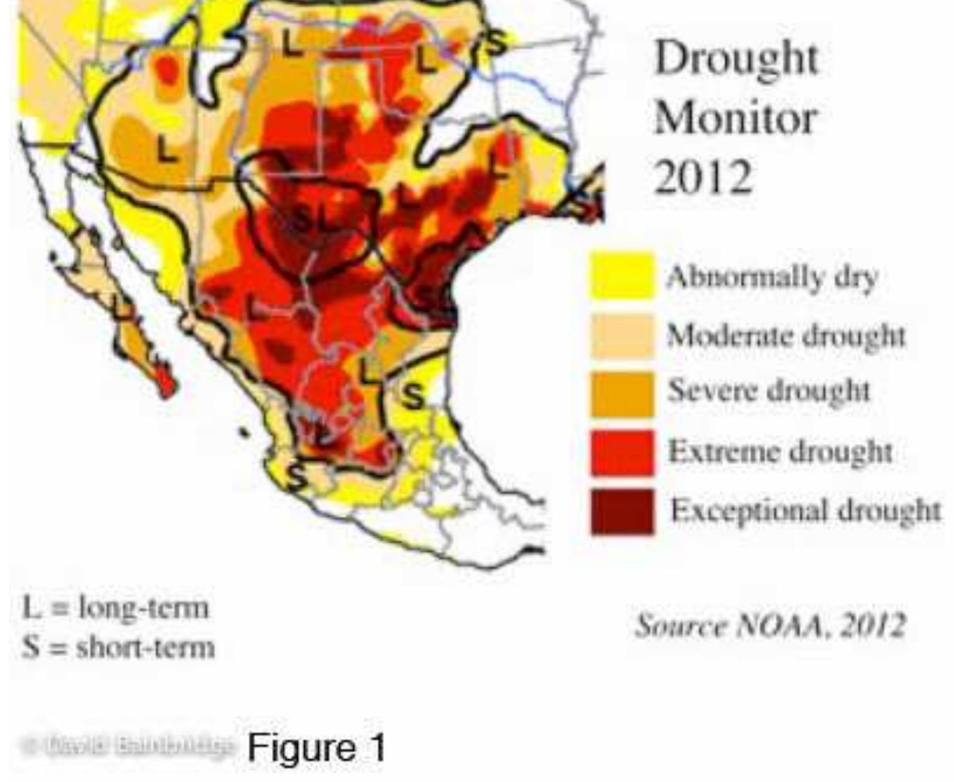 Figure 2 - from 2012 Wick Irrigation
