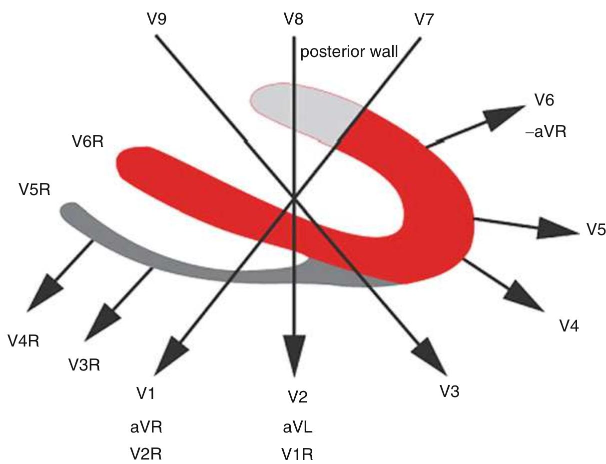 17 the schematic diagram shows the placement of the