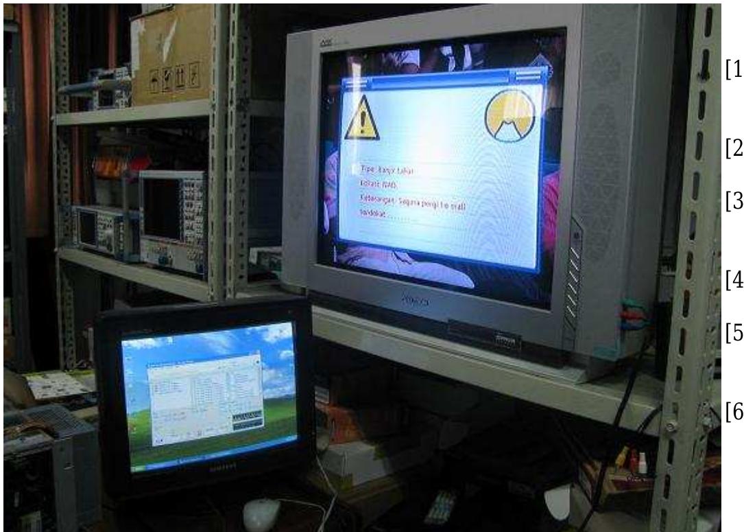 Testing the disaster information