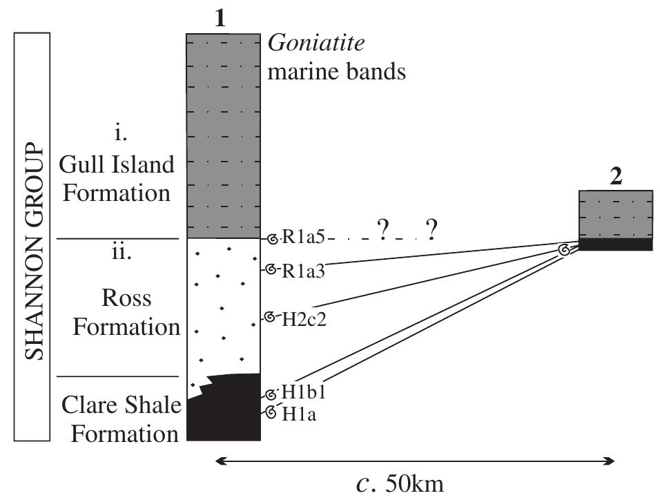 Figure 2 - from Slump folds as estimators of palaeoslope: a