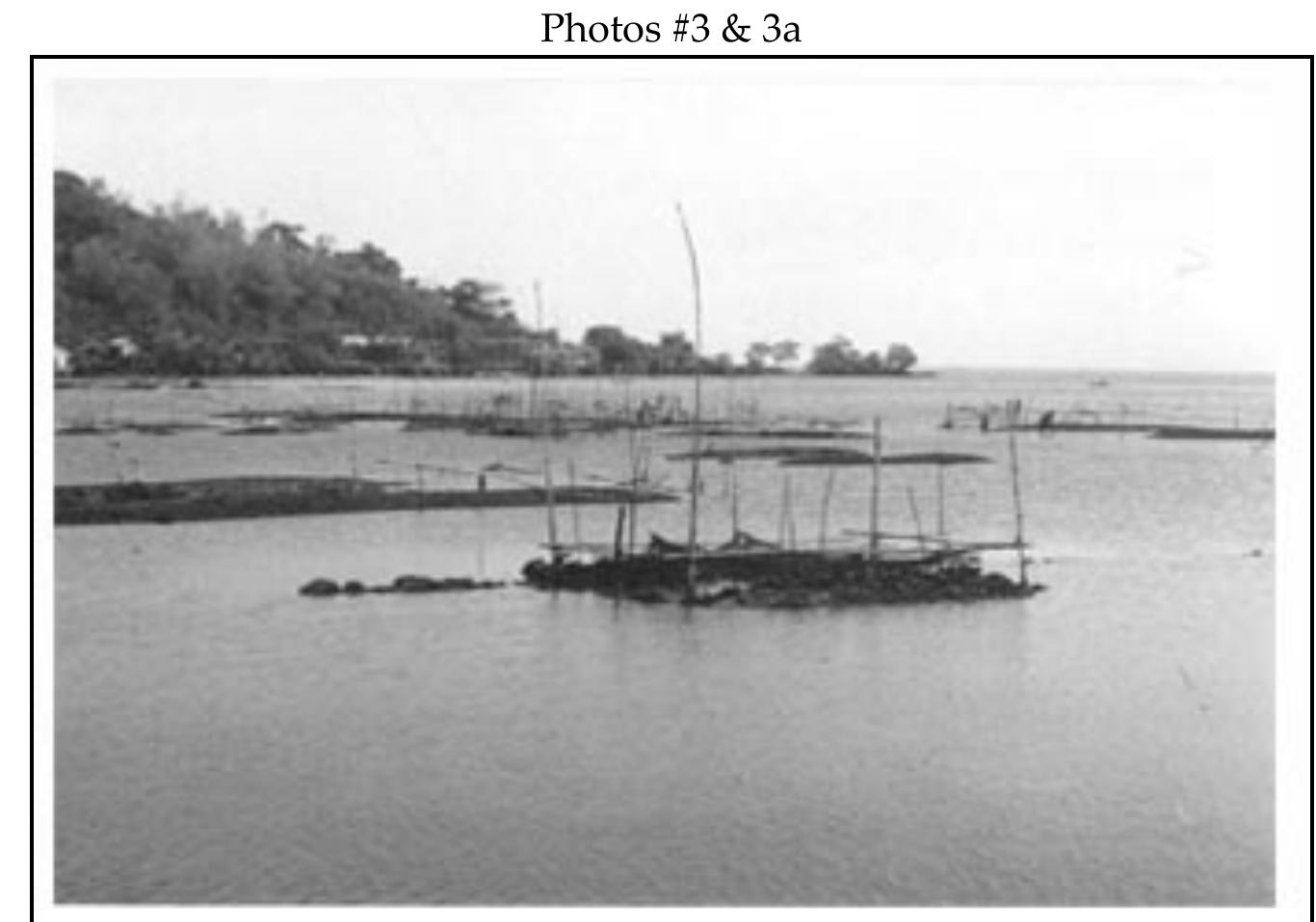 Figure 6 - Atob and bato TWO SIDES OF PHILIPPINE LITHIC